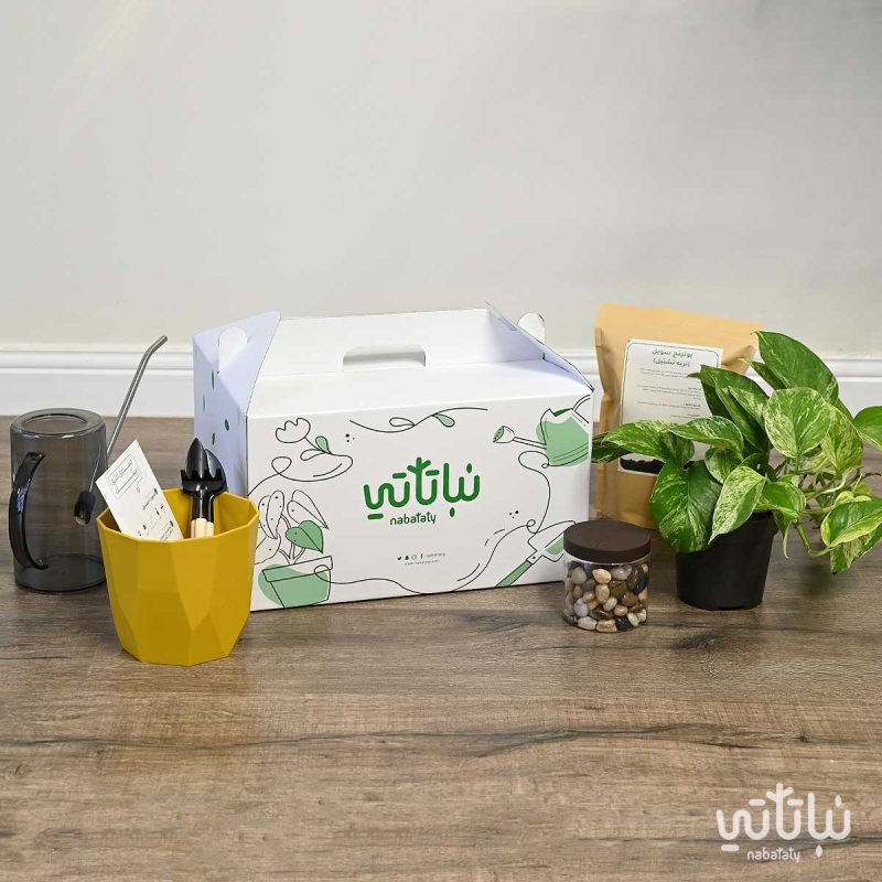 create your environment box - Nabataty Shop