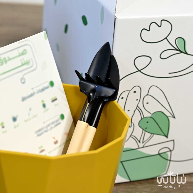 create your environment box - Nabataty Shop